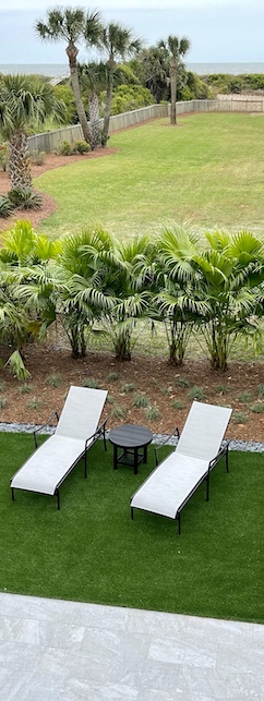 Charleston Landscape